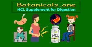 #1 Hydrochloric Acid Supplement - Best HCL for Digestion